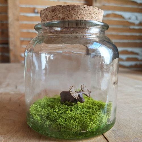 Set of Miniature Moose Mini Moose Terrarium Supplies | Etsy
