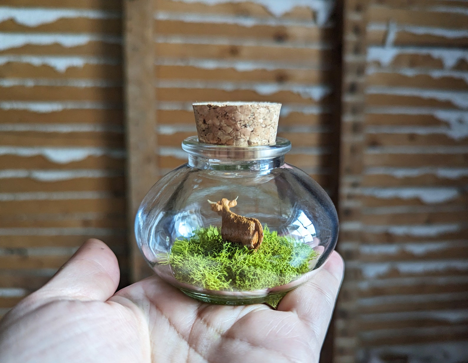 Miniature Highland Cow Terrarium by Sbmathieu - Etsy