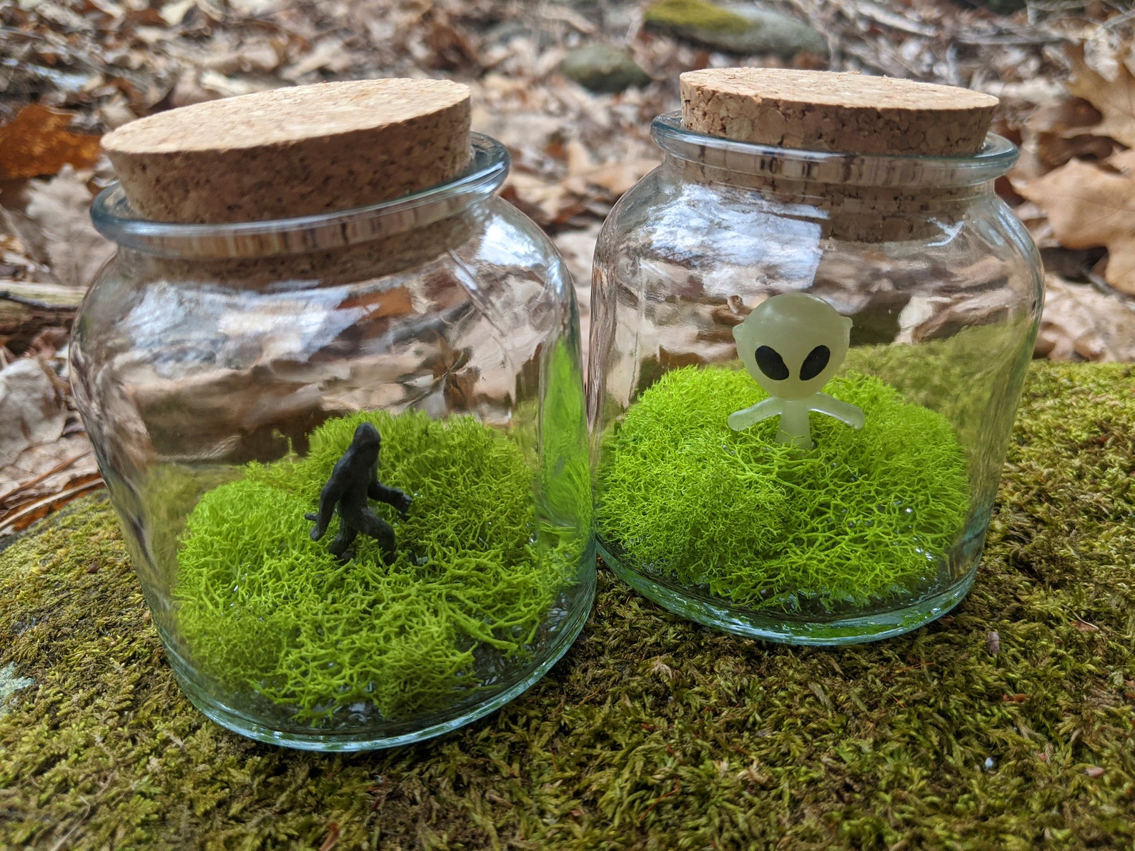 Miniature Alien Terrarium by Sbmathieu - Etsy