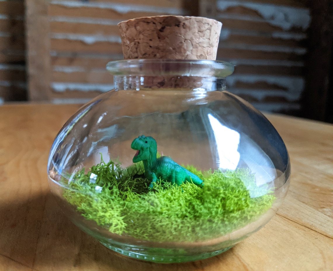 Miniature T.rex Terrarium by Sbmathieu | Etsy