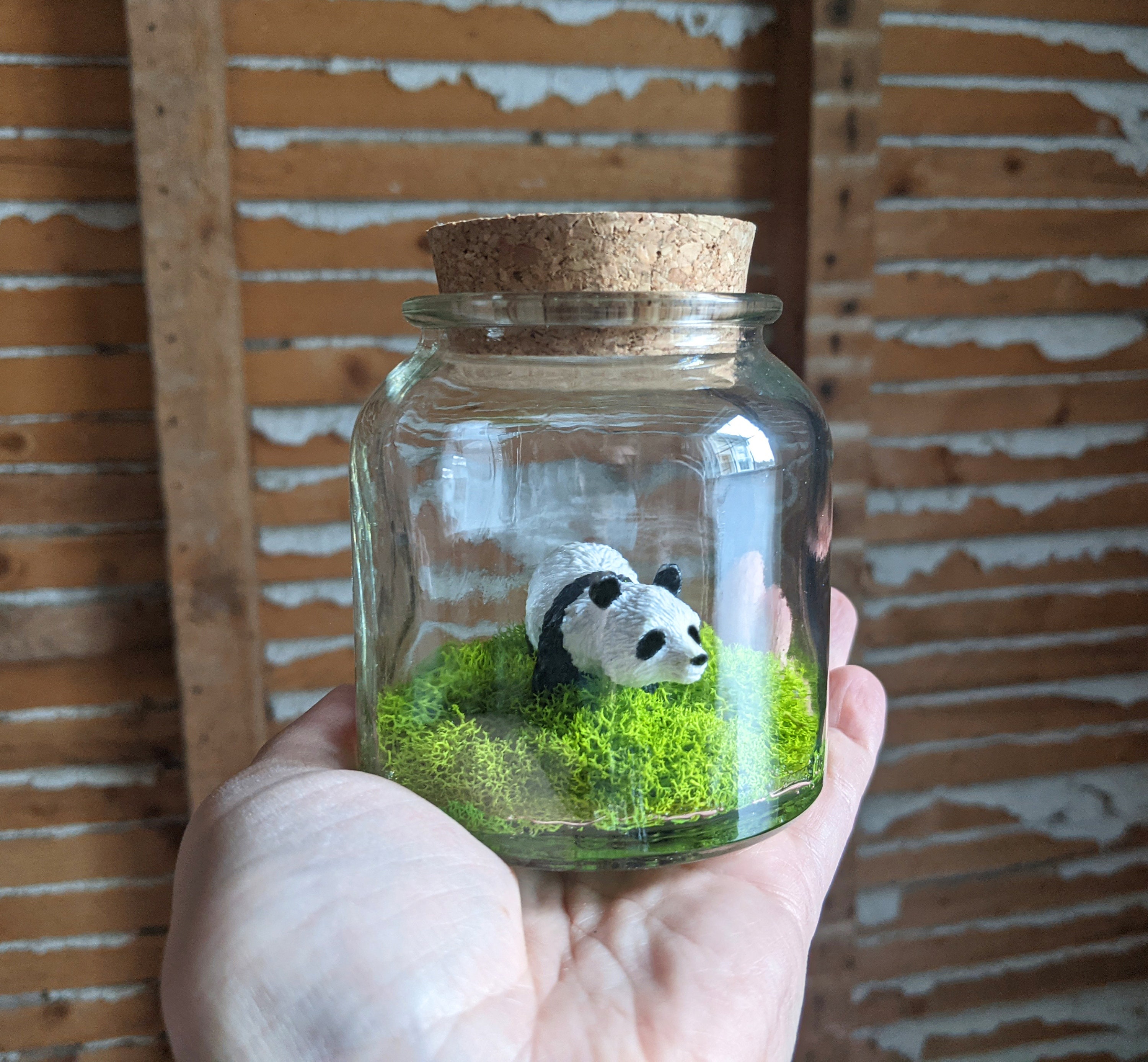 Tare Panda In Jar