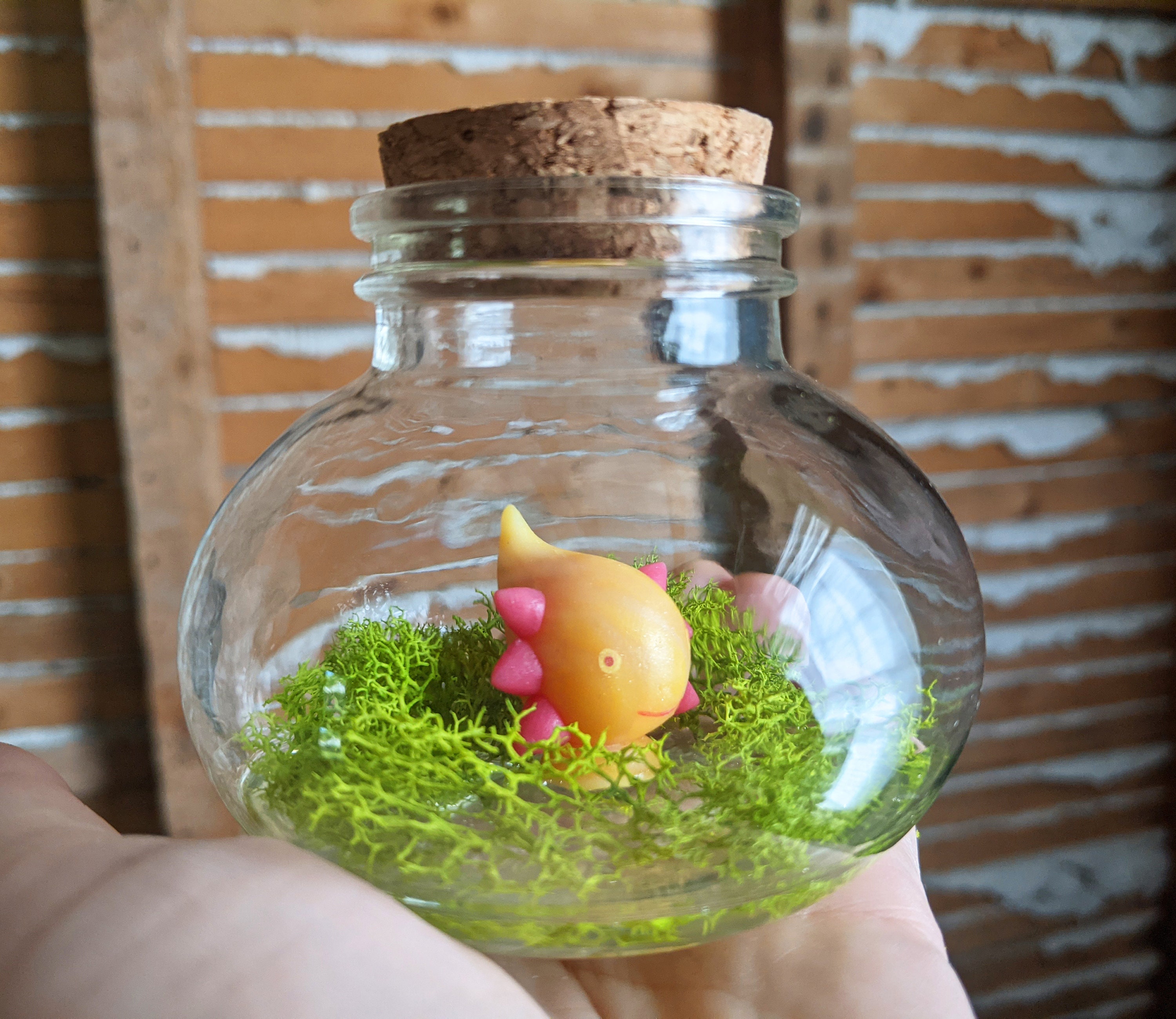 Miniature Axolotl Terrarium by Sbmathieu - Etsy Canada