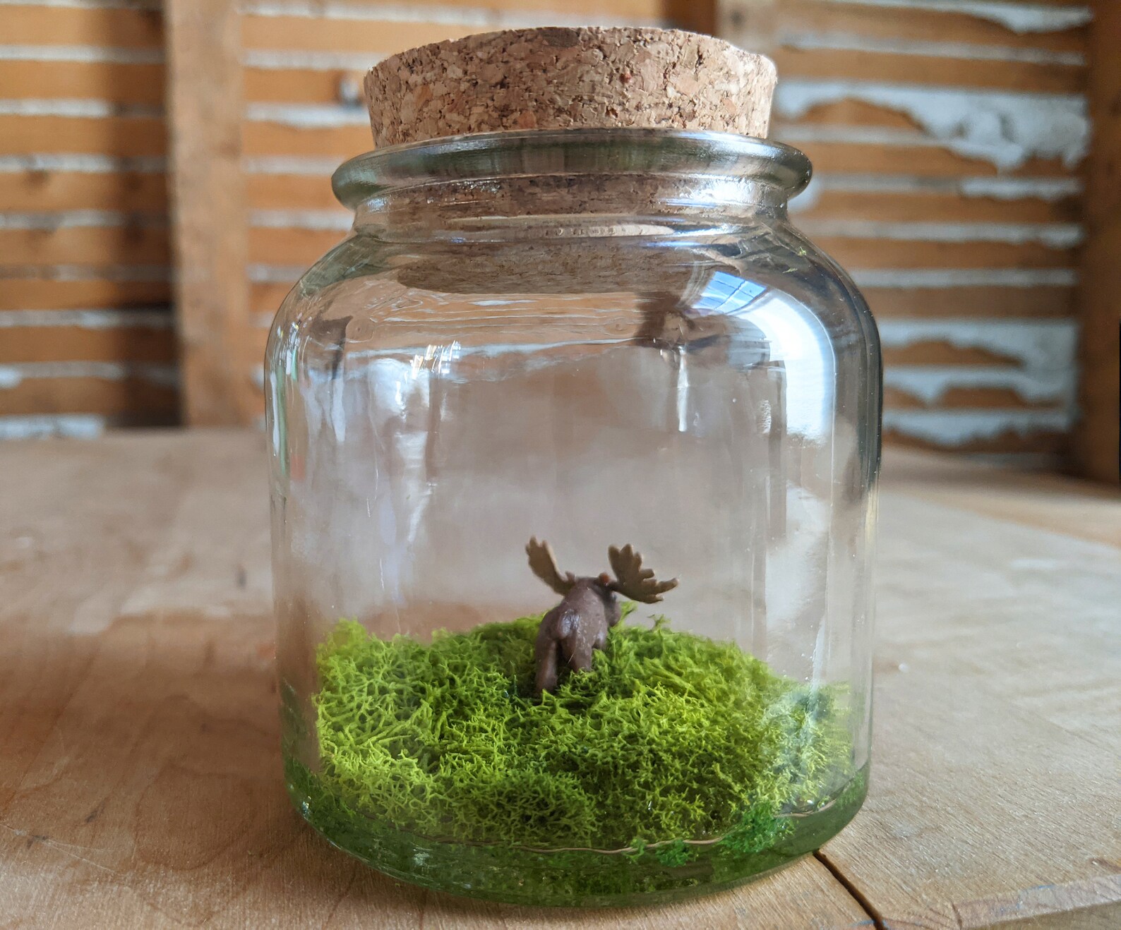 Miniature Moose Terrarium by Sbmathieu - Etsy
