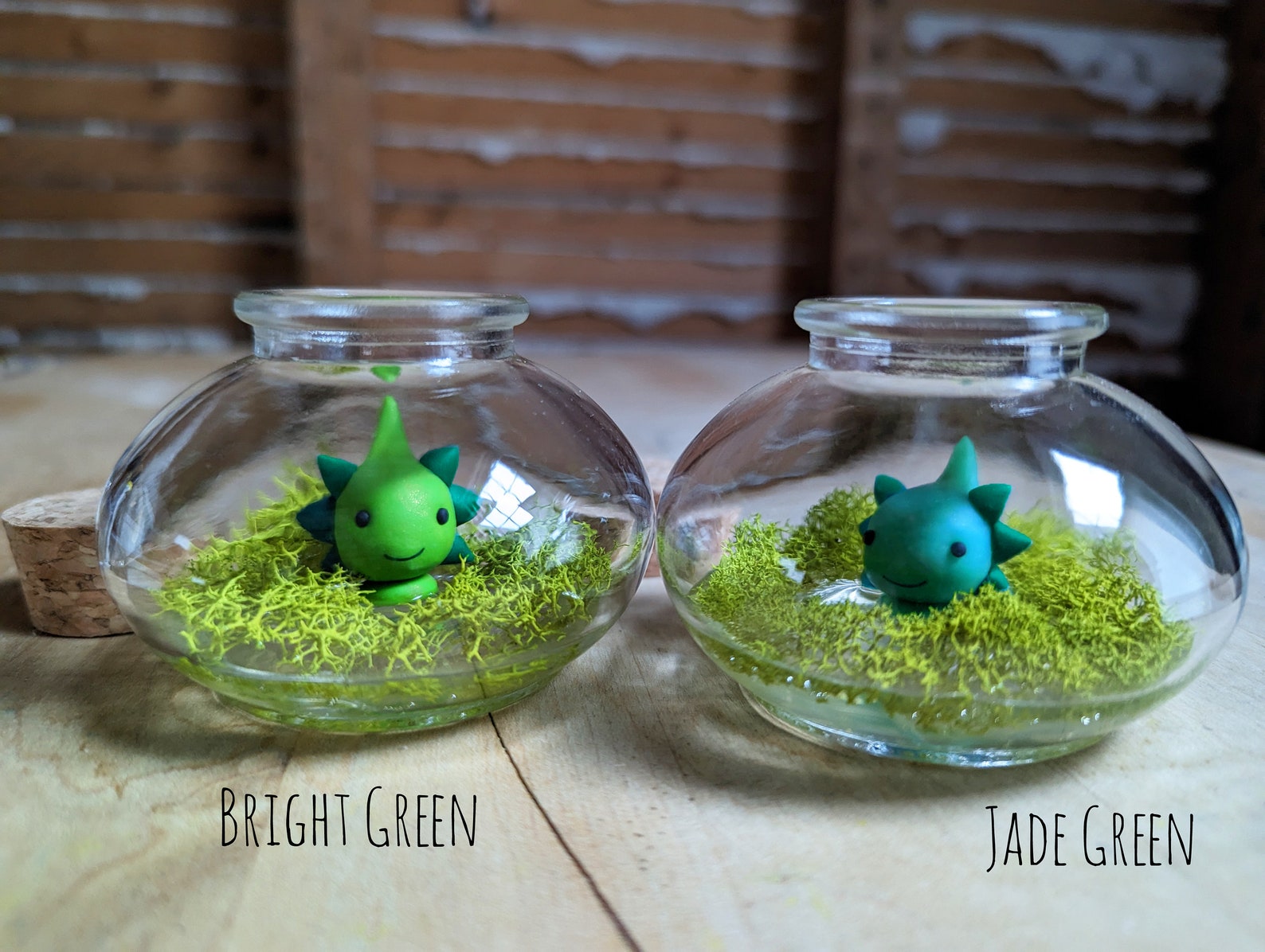 Miniature Axolotl Terrarium by Sbmathieu - Etsy
