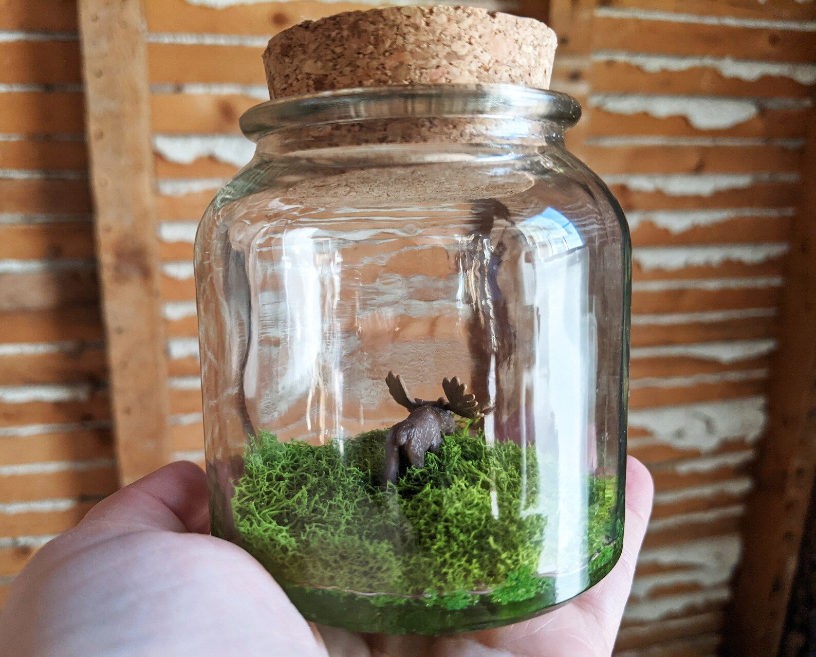 Miniature Moose Terrarium by Sbmathieu - Etsy