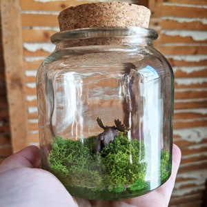 Miniature Moose Terrarium by Sbmathieu - Etsy