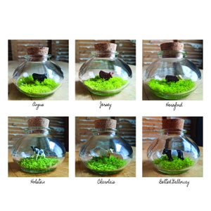Miniature Highland Cow Terrarium by Sbmathieu - Etsy