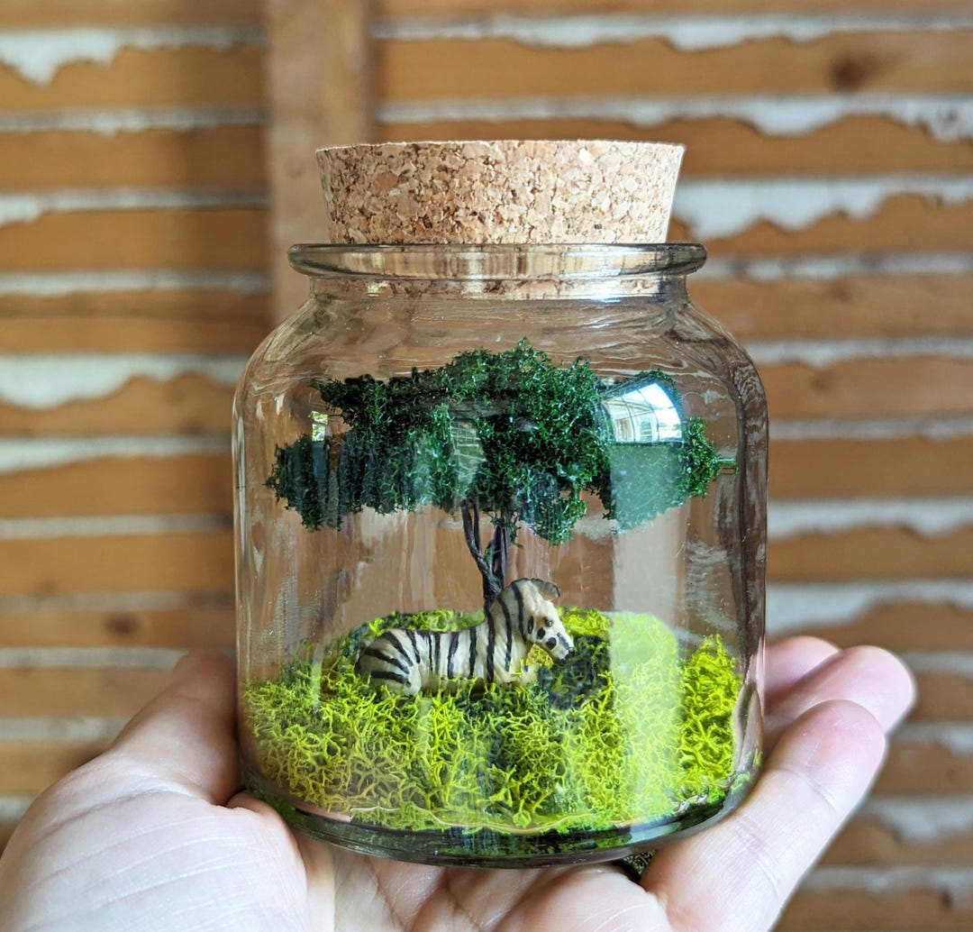 Miniature Zebra Terrarium by Sbmathieu - Etsy