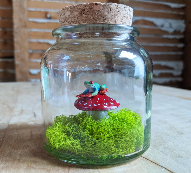 Miniature Red Eyed Tree Frog Terrariums by Sbmathieu - Etsy