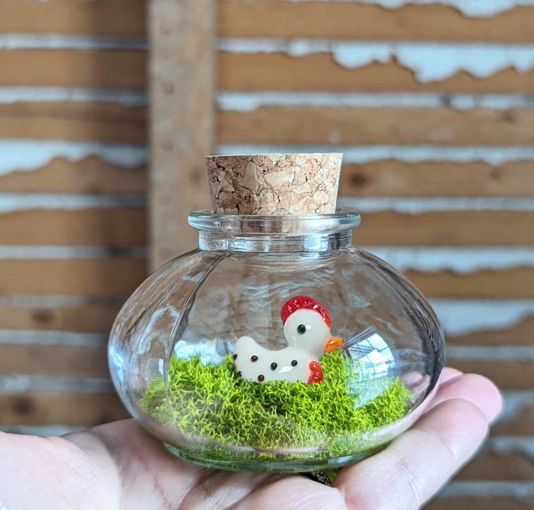 Miniature Glass Chicken Terrarium by Sbmathieu - Etsy