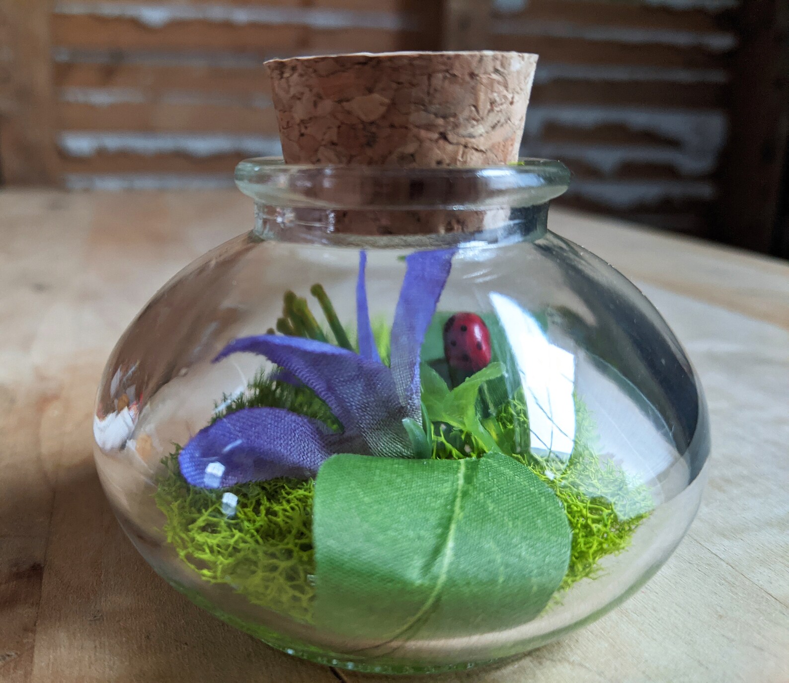 Miniature Ladybug Terrarium by Sbmathieu | Etsy