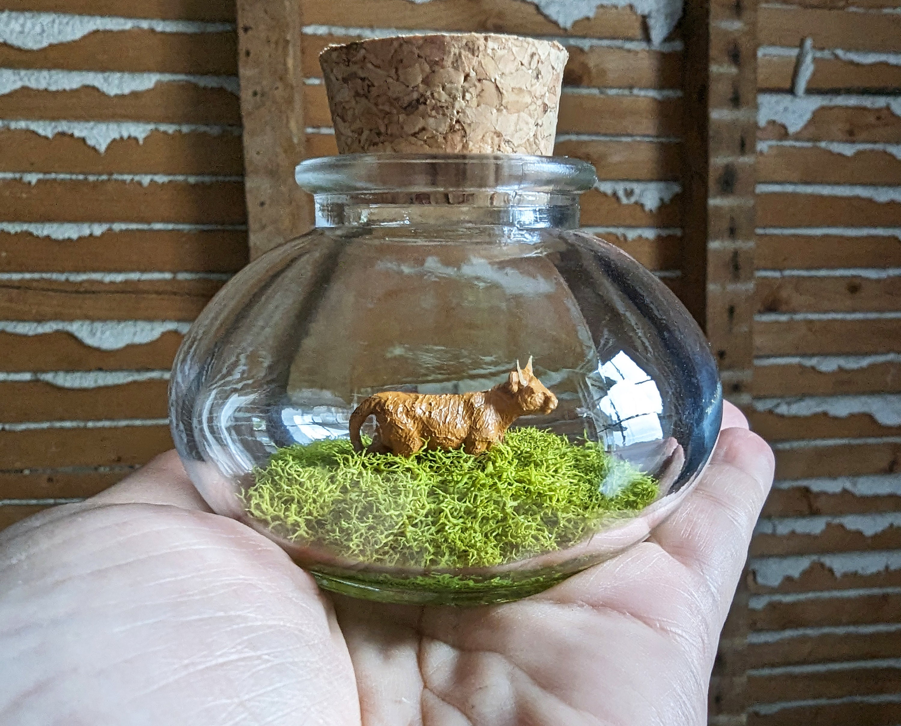 Miniature Highland Cow Terrarium by Sbmathieu - Etsy
