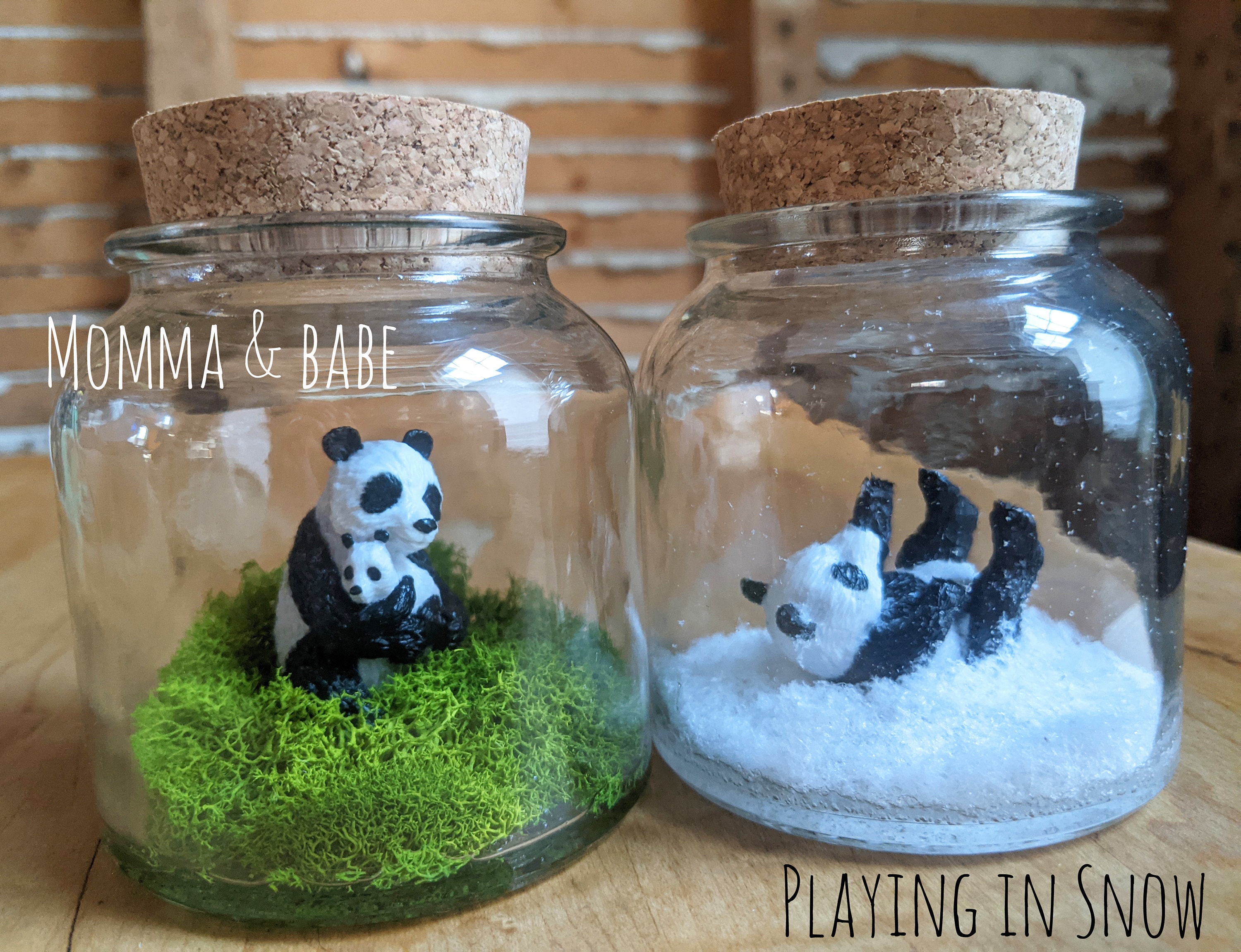 Tare Panda In Jar