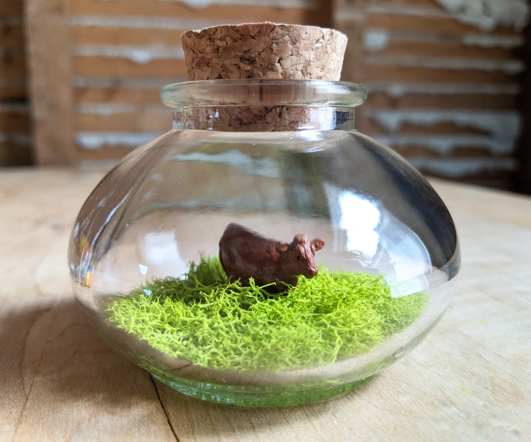 Miniature Brown Cow Terrarium by Sbmathieu - Etsy