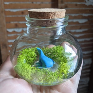 Miniature Axolotl Terrarium by Sbmathieu - Etsy