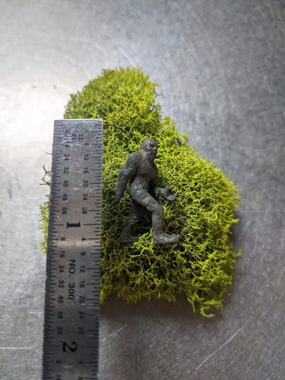 Dolls & Miniatures Art & Collectibles Terrarium Scenery Mini Plastic ...