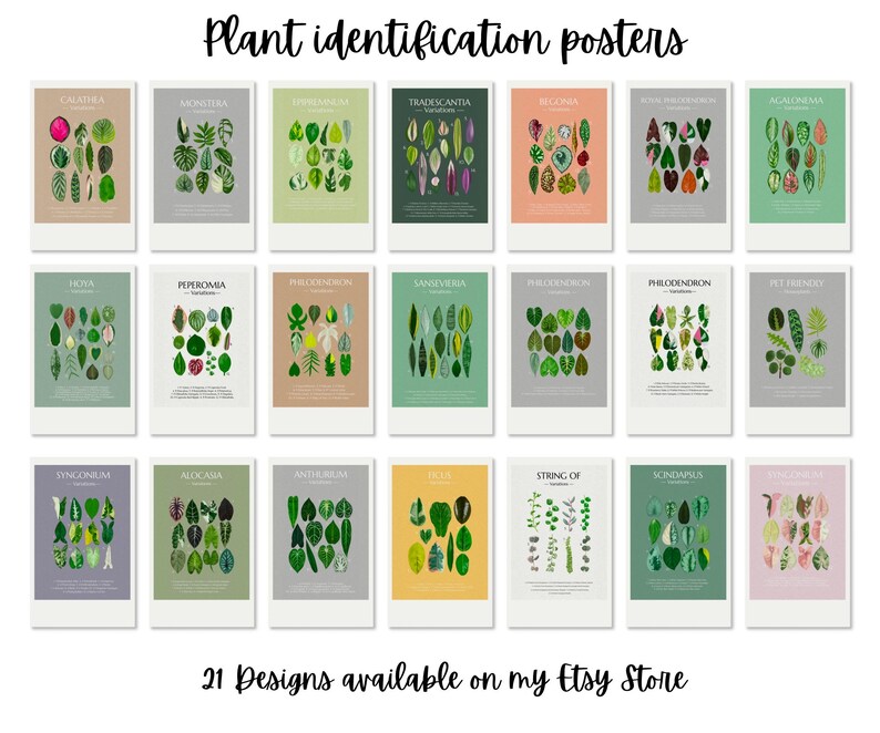 Philodendron Plant Identification Art Print (digital Download) - Etsy