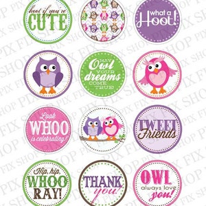 OWL Cupcake Toppers & Party Circles in Pink and Purple- Instant ...