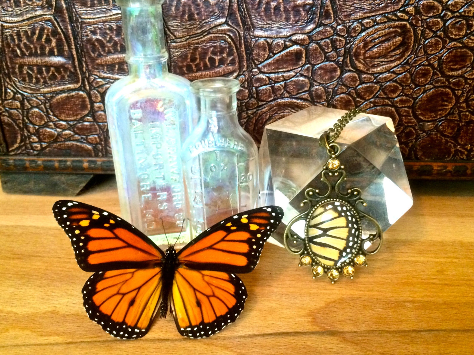 Real Monarch Butterfly Wing Necklace Pressed Butterfly Necklace Framed ...