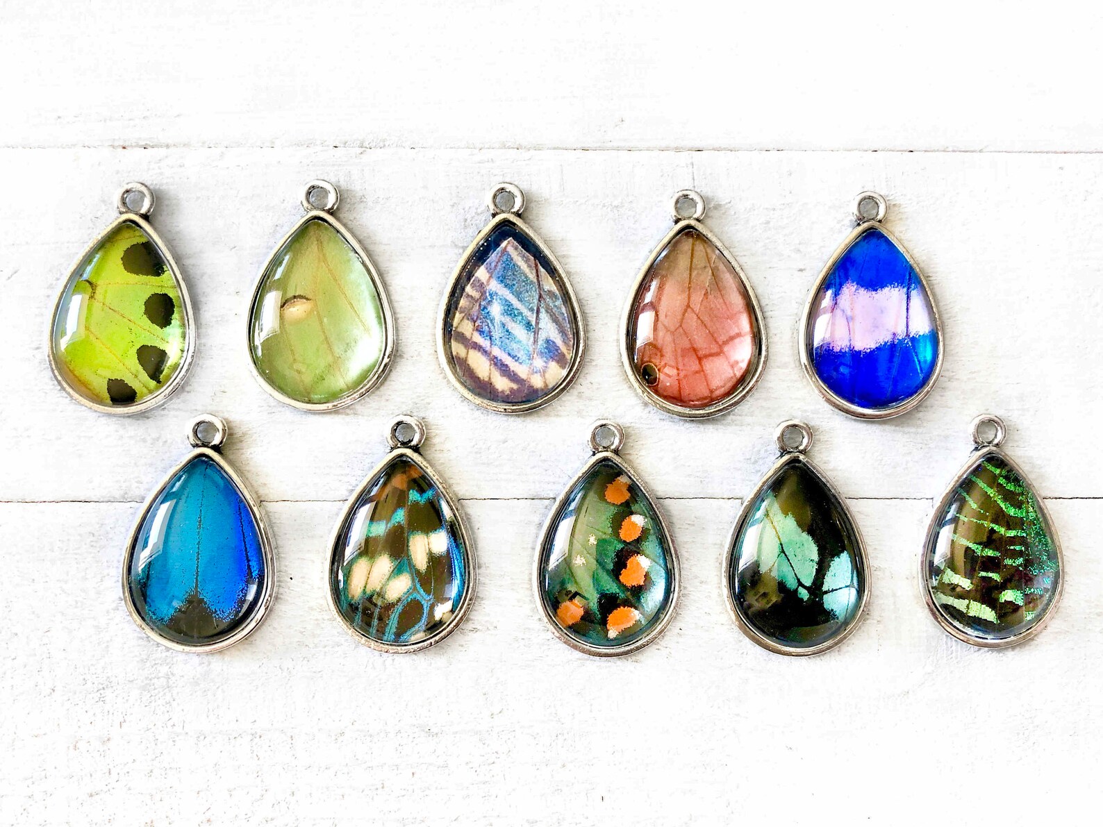 Real Luna Moth Earrings Taxidermy Luna Moth Jewelry Real Butterfly Wing ...