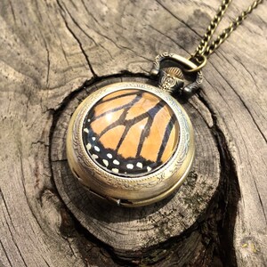 Real Butterfly Necklace Glass Locket Necklace Steampunk Pocket Watch ...