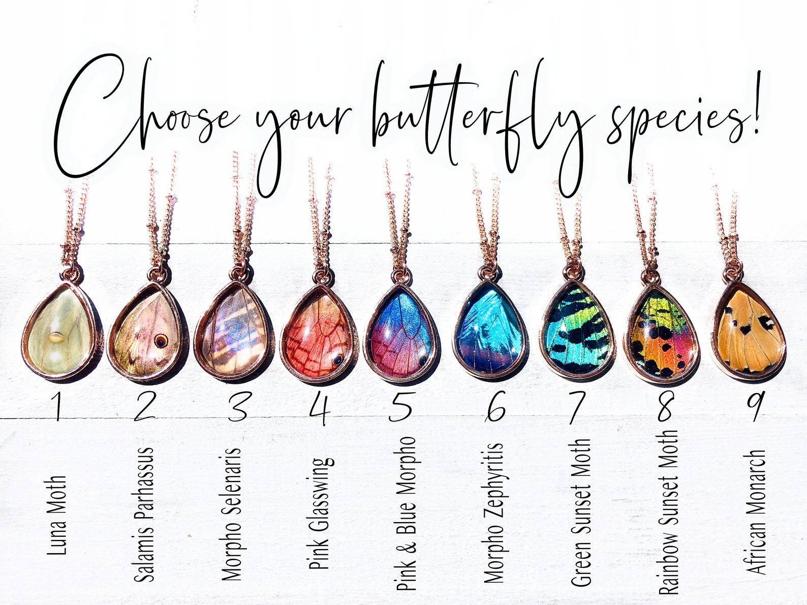 Real Butterfly Wing Necklace Pressed Butterfly Necklace Best - Etsy