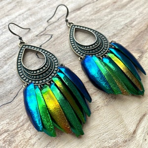 Real Beetle Wing Earrings Real Beetle Earrings for Women Beetle Wing ...