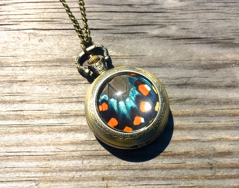 Butterfly Wing Necklace Real Insect Jewelry Working Pocket - Etsy