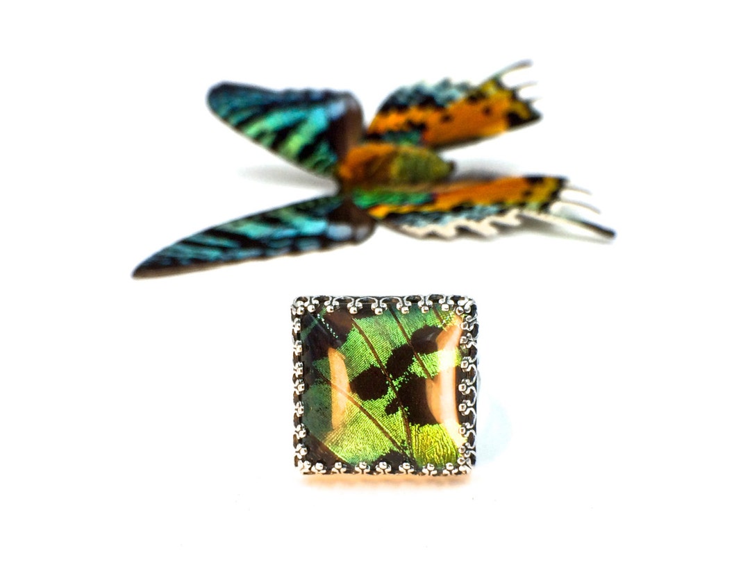 Real Moth Wing Ring Supernatural Ring Weird Taxidermy Ring Green Rings ...
