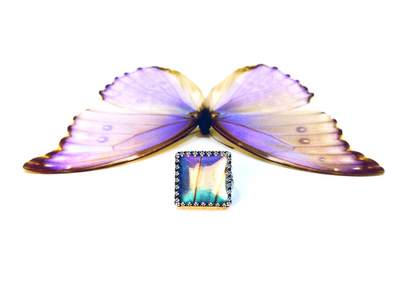 Real butterfly wing ring Sterling silver butterfly ring mood | Etsy