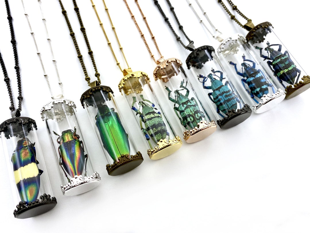 Real Bug Necklace Witchy Jewelry Insect Necklace Science Jewelry Glass ...