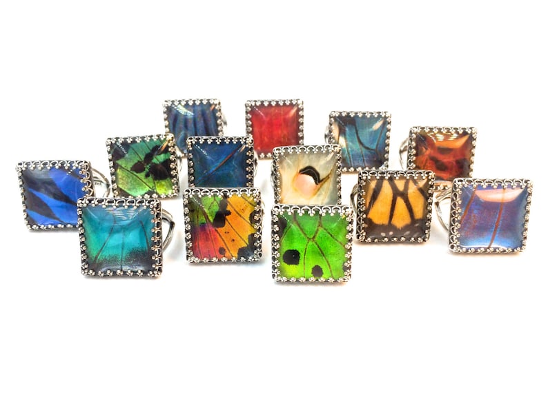 Real Moth Wing Ring Supernatural Ring Weird Taxidermy Ring | Etsy