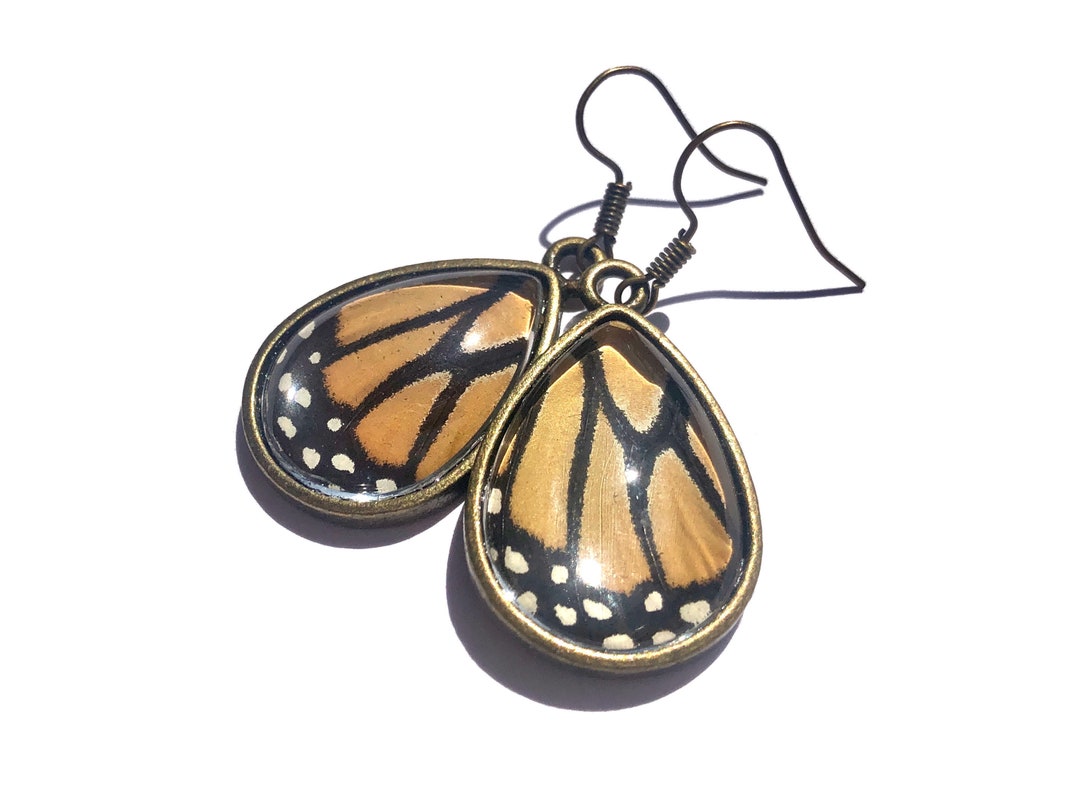 Real Butterfly Wing Earrings Monarch Butterfly Earrings Terrarium ...