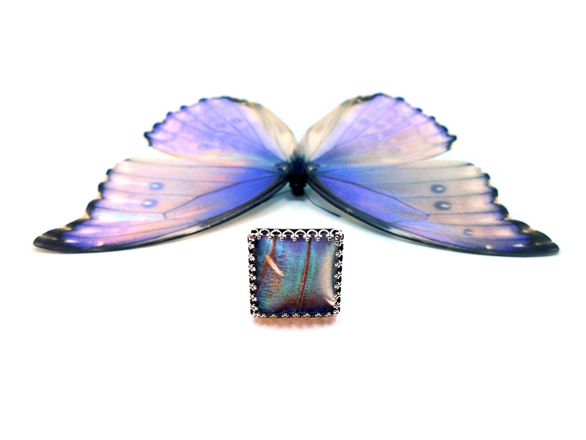 Real Butterfly Wing Ring Sterling Silver Butterfly Ring Mood - Etsy