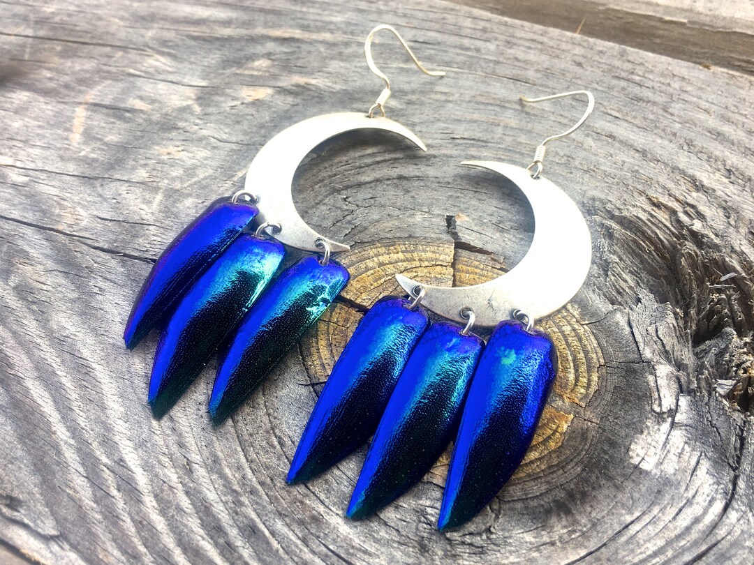Real Beetle Wing Earrings Wiccan Jewelry Crescent Moon Earrings Sailor ...