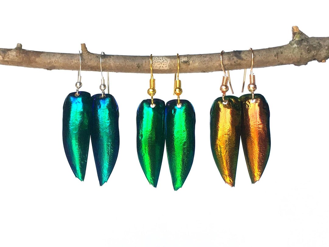 Real Jewel Beetle Wing Earrings Witchy Jewelry Insect Jewelry Bug ...