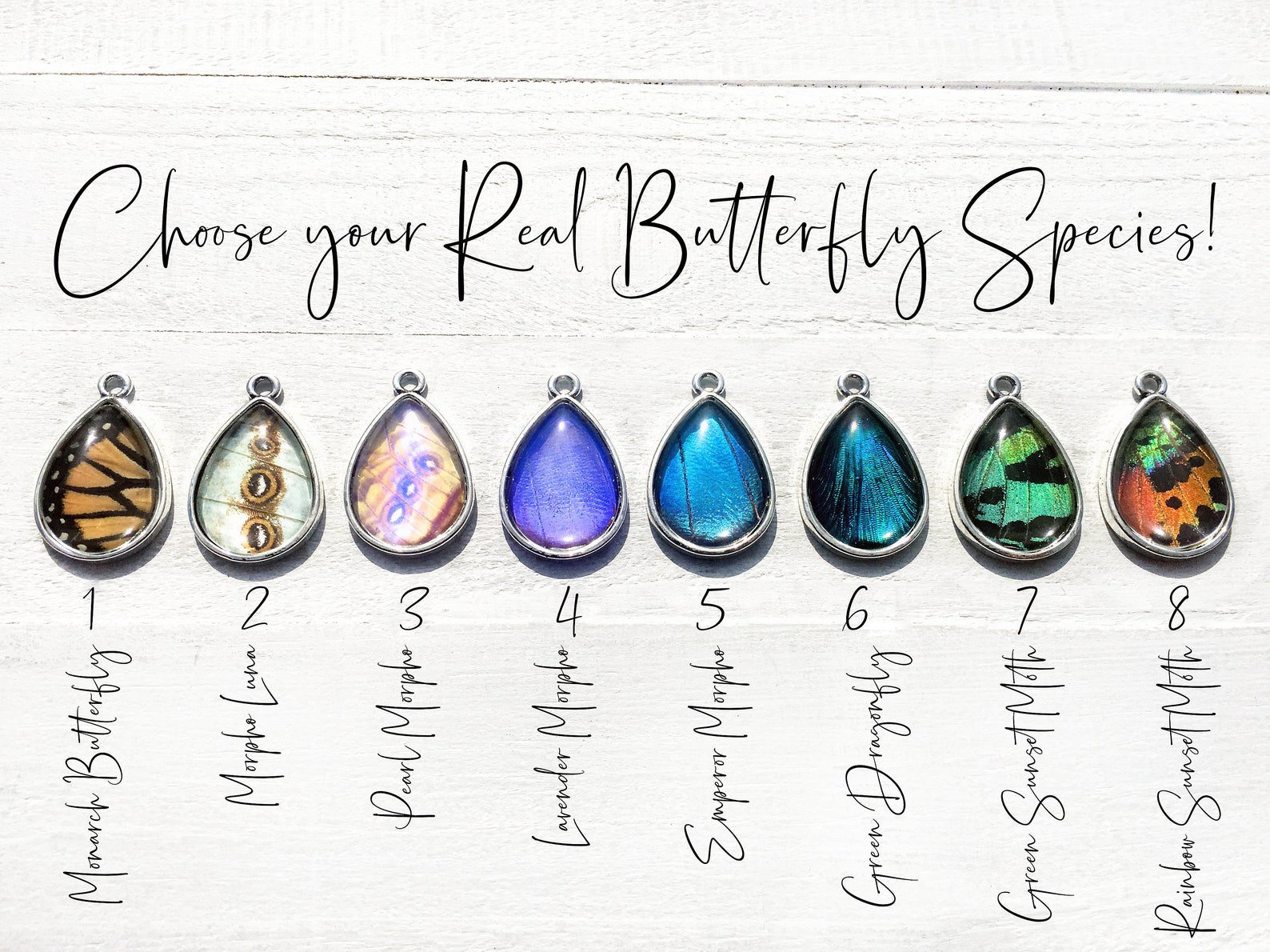 Real Butterfly Wing Earrings Real Moth Earrings Pressed Butterfly ...