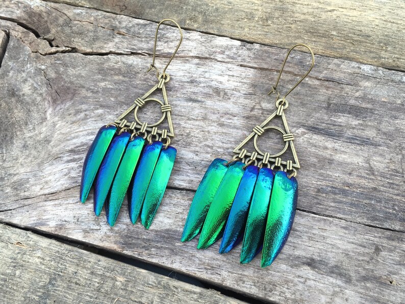 Real Beetle Wing Earrings Fringe Earring Scarab Beetle Earrings Edgy ...