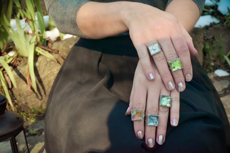 Real Moth Wing Ring Supernatural Ring Weird Taxidermy Ring | Etsy