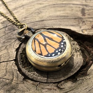 Real Butterfly Necklace Glass Locket Necklace Steampunk Pocket Watch ...