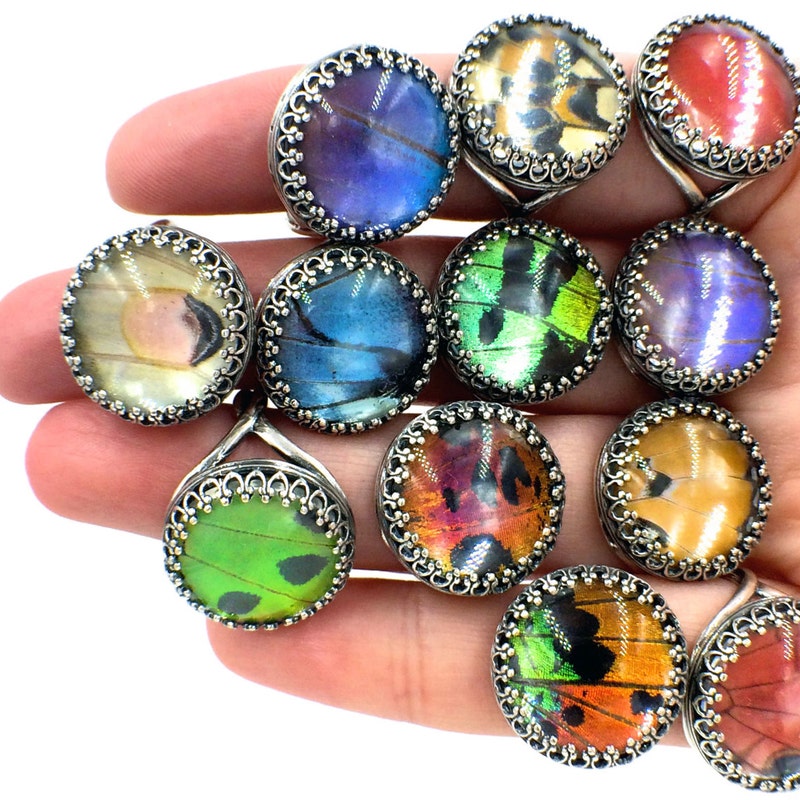 Butterfly Wing Ring Real - Etsy