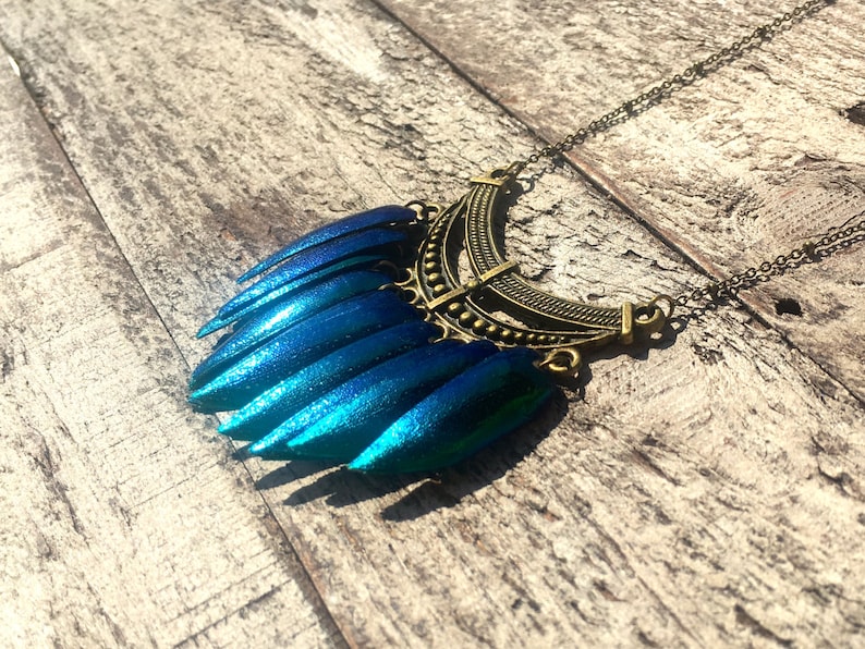 Real Beetle Necklace Real Beetle Wing Jewelry Taxidermy Beetle Wing ...