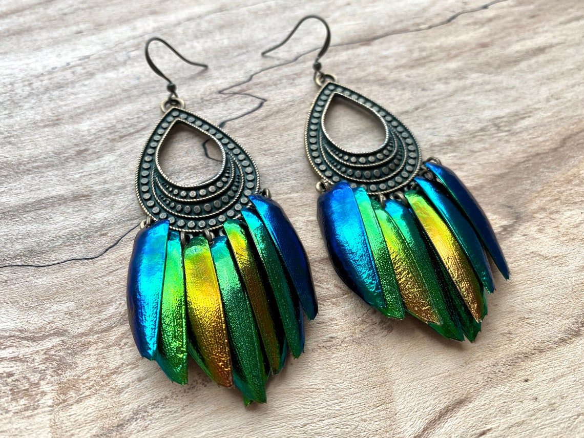 Real beetle wing earrings Real beetle earrings for women | Etsy