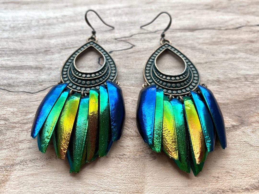 Real Beetle Wing Earrings Real Beetle Earrings for Women Beetle Wing ...