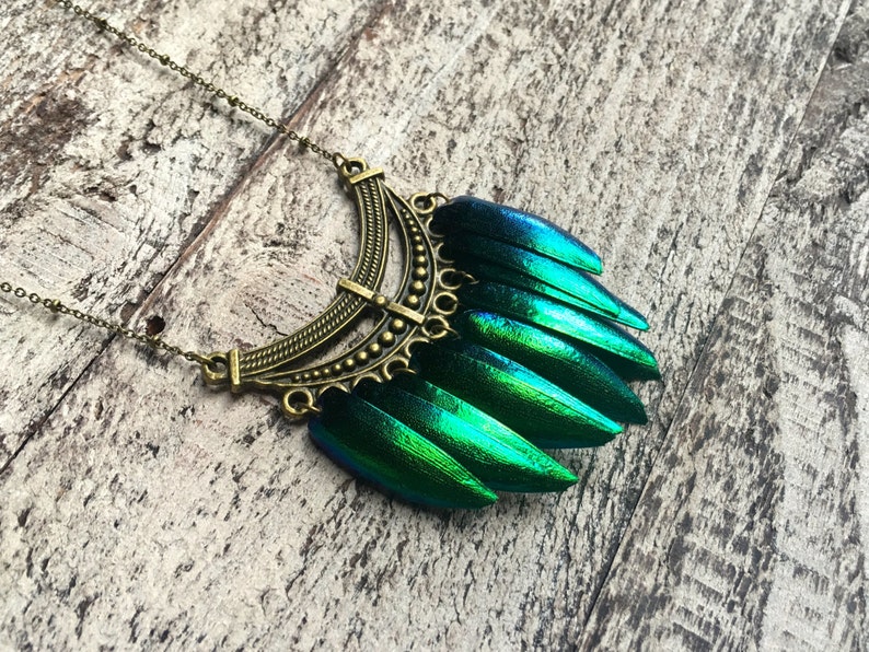 Real Beetle Necklace Real Beetle Wing Jewelry Taxidermy Beetle Wing ...