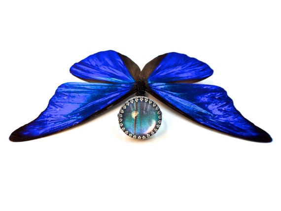 Real Butterfly Wing Ring Blue Butterfly Ring Sterling Silver - Etsy