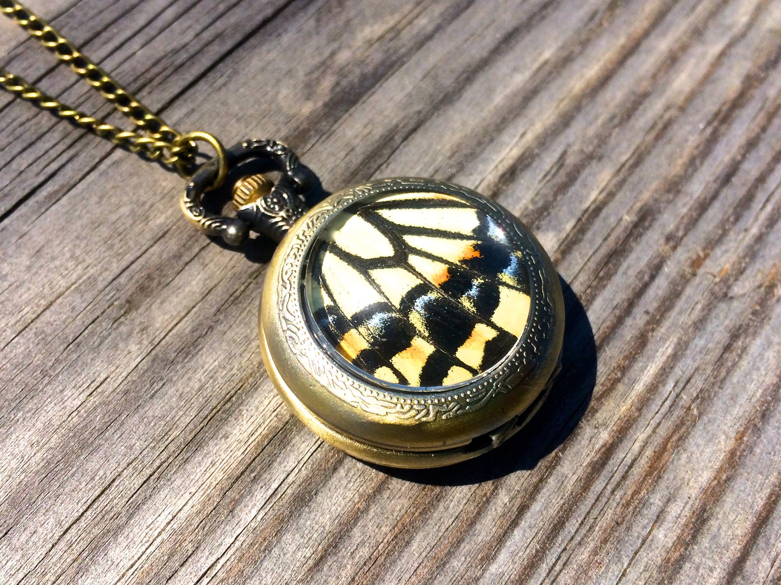 Butterfly Wing Necklace Real Insect Jewelry Working Pocket - Etsy