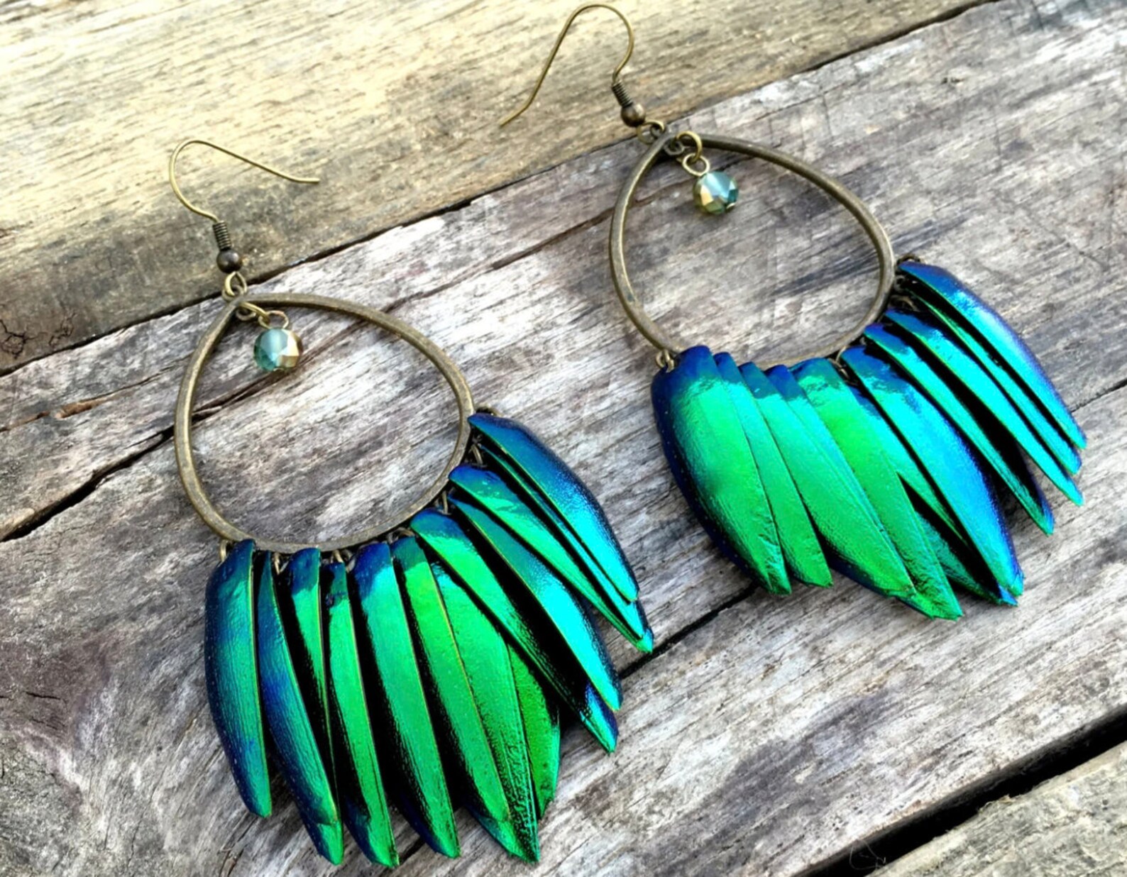 Real Beetle Wing Earrings Taxidermy Bug Earrings Large Statement ...