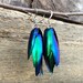 Real Beetle Wing Earrings Insect Earrings Beetle Earrings Real Bug ...