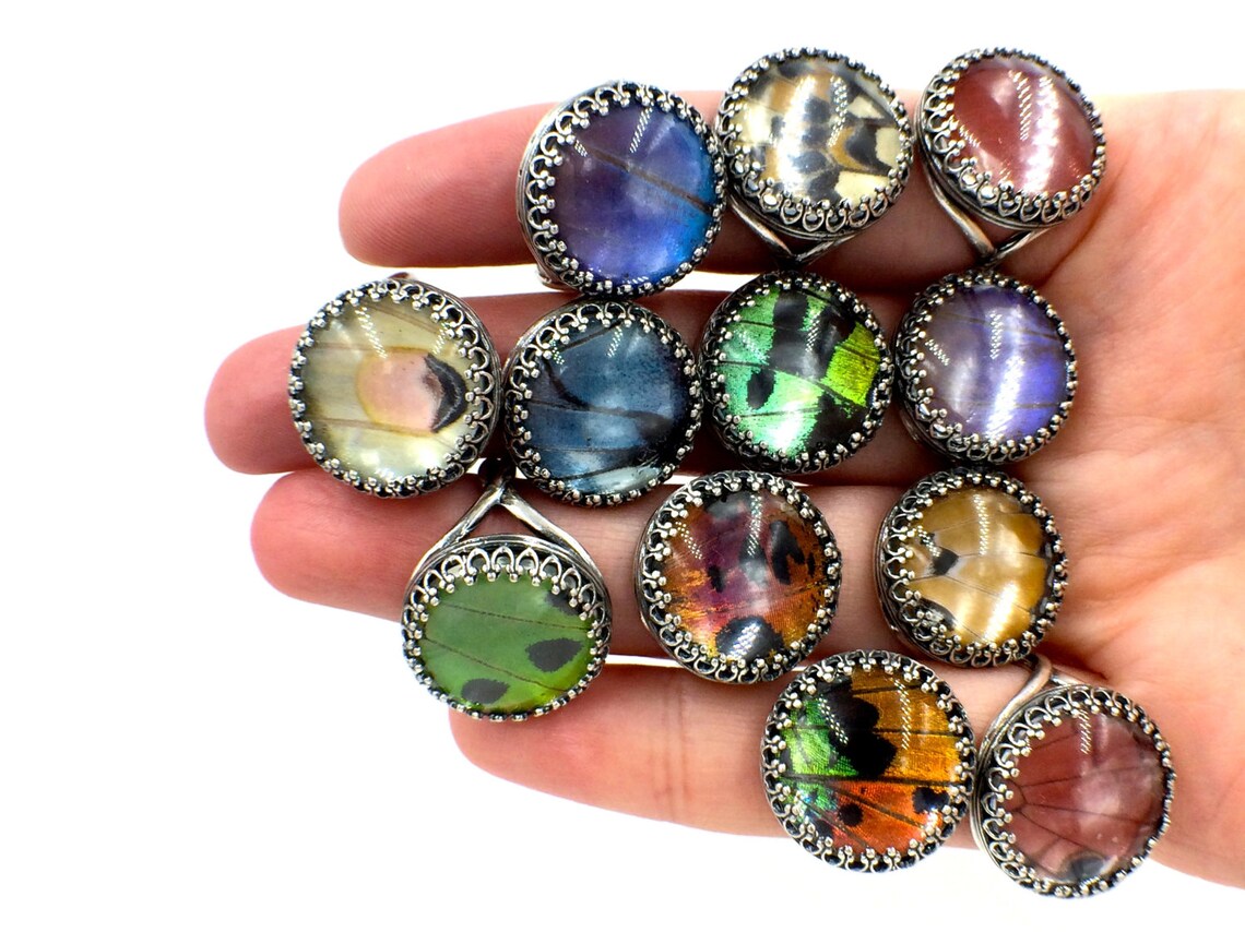 Real Moth Wings Ring Cool Rings Sunset Moth Taxidermy Ring Weird Stuff ...